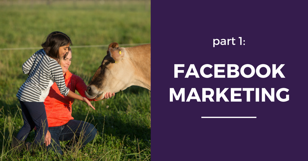 How to use Facebook to get more farm sales {part 1} – Charlotte M. Smith